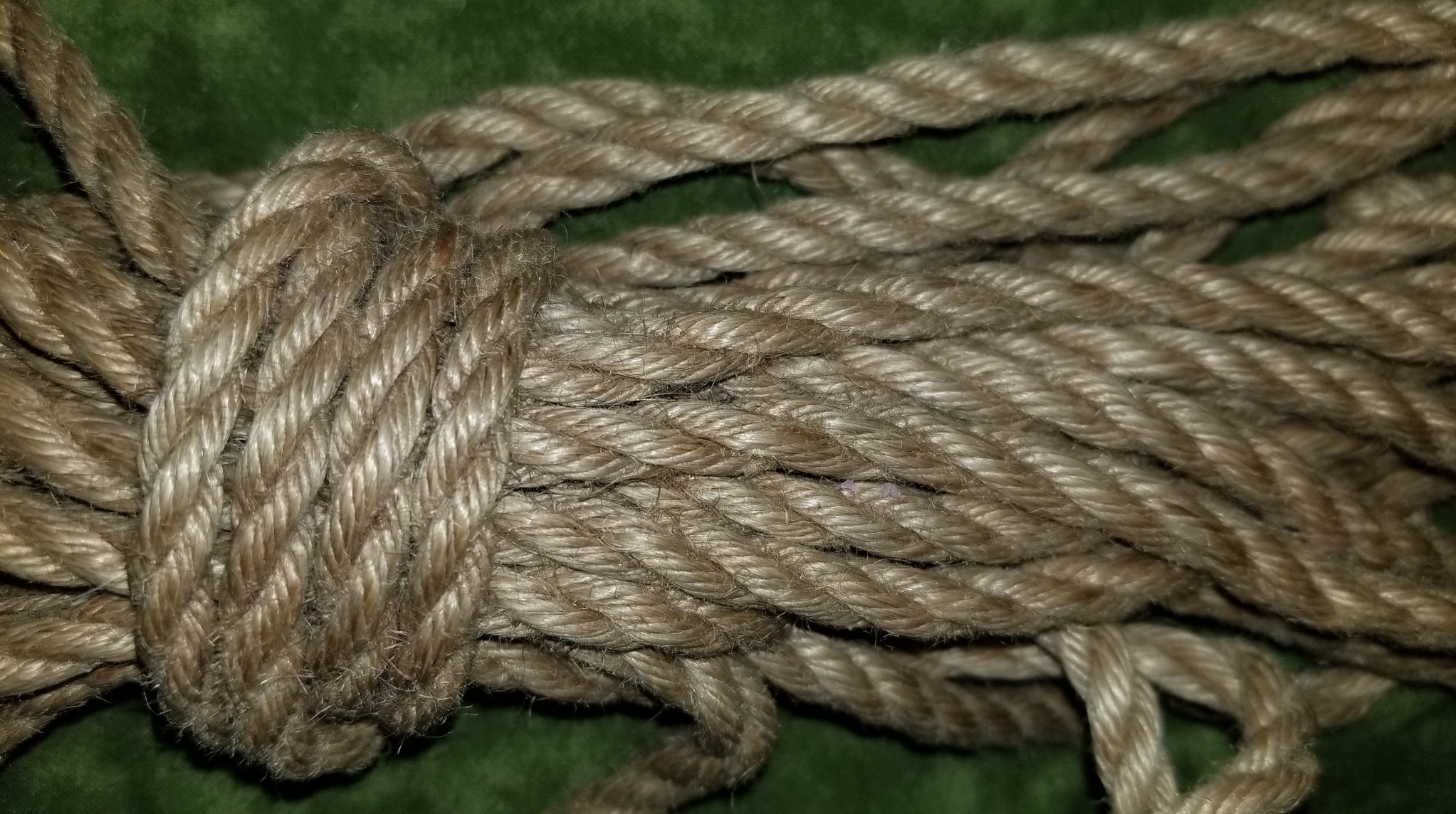 LB Shibari Dojo