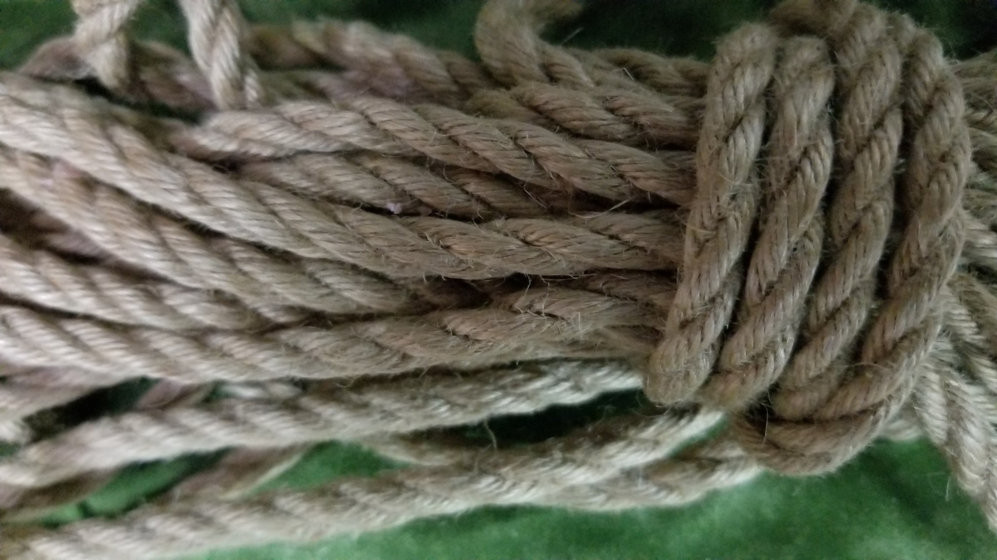 LB Shibari Dojo