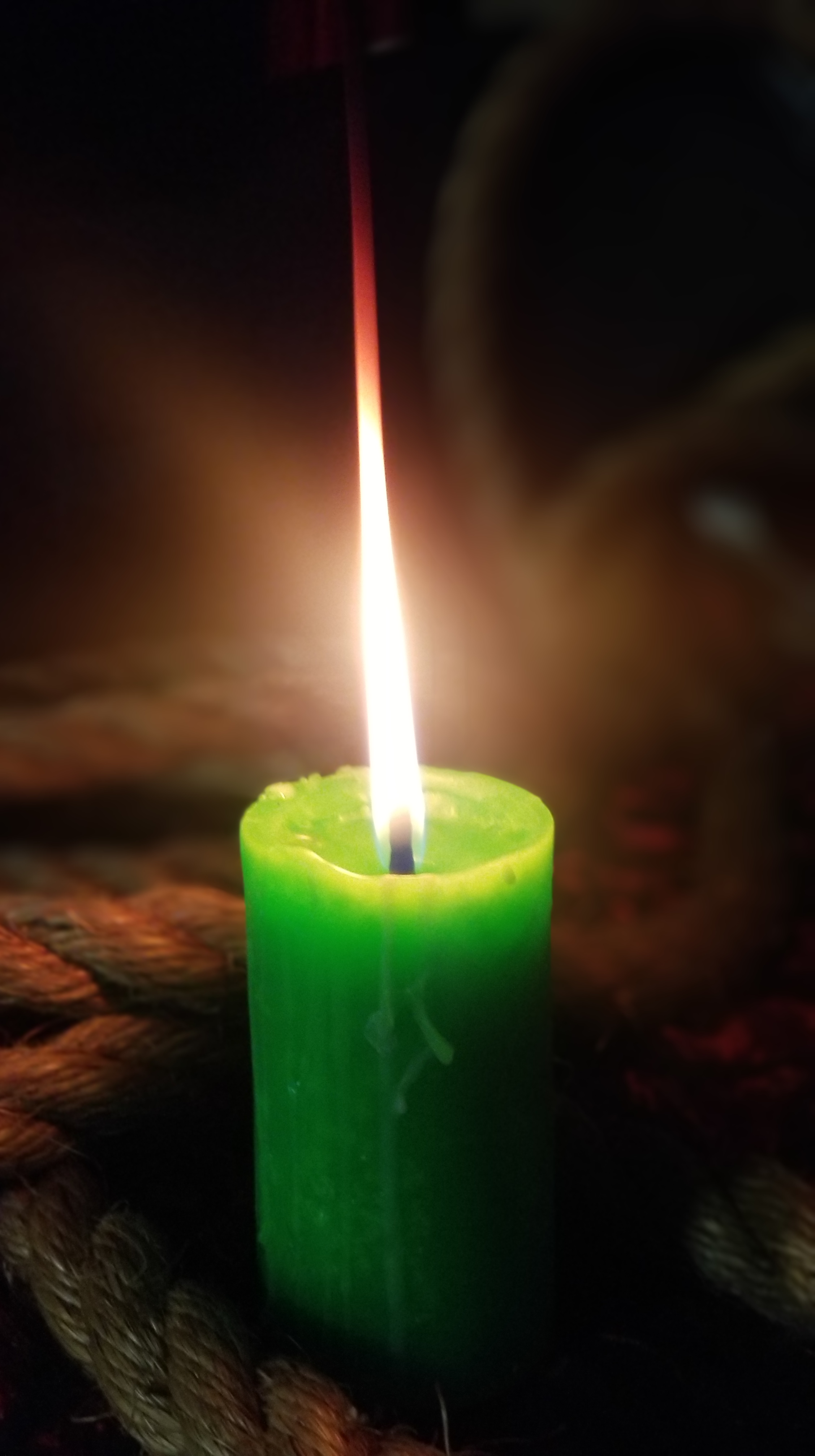 ART – LB Shibari Dojo