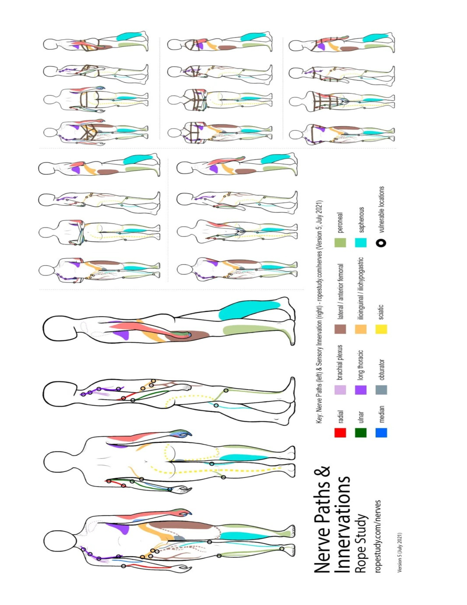 Class Resources – LB Shibari Dojo