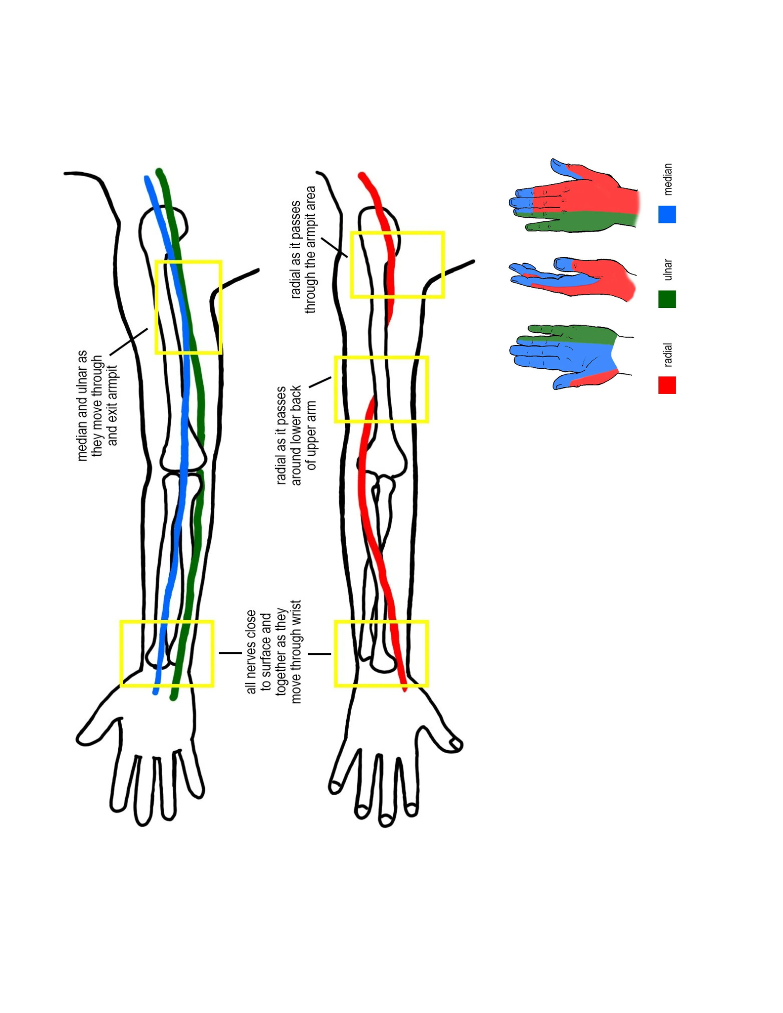 Class Resources – LB Shibari Dojo